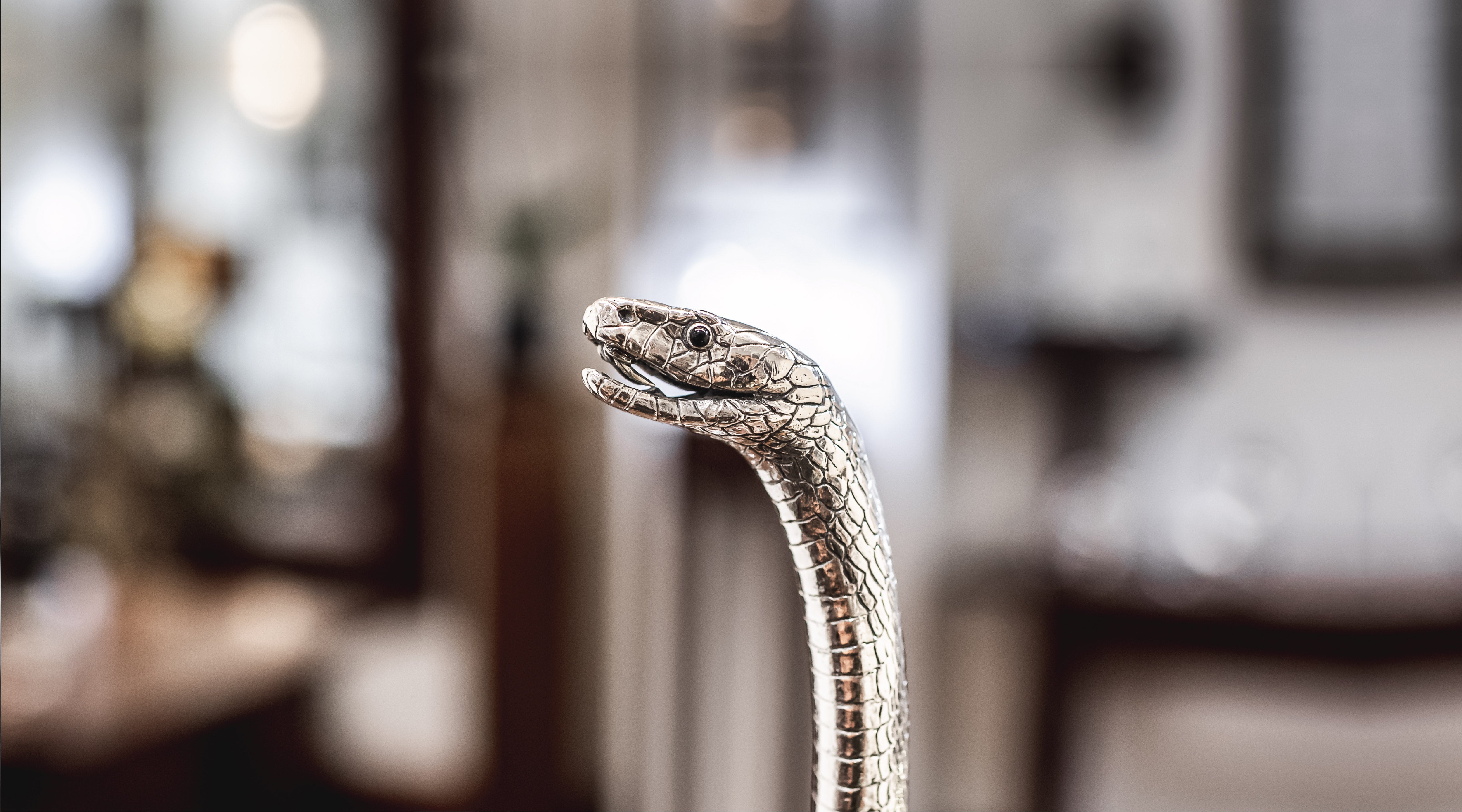 Snake Collection – Patrick Mavros
